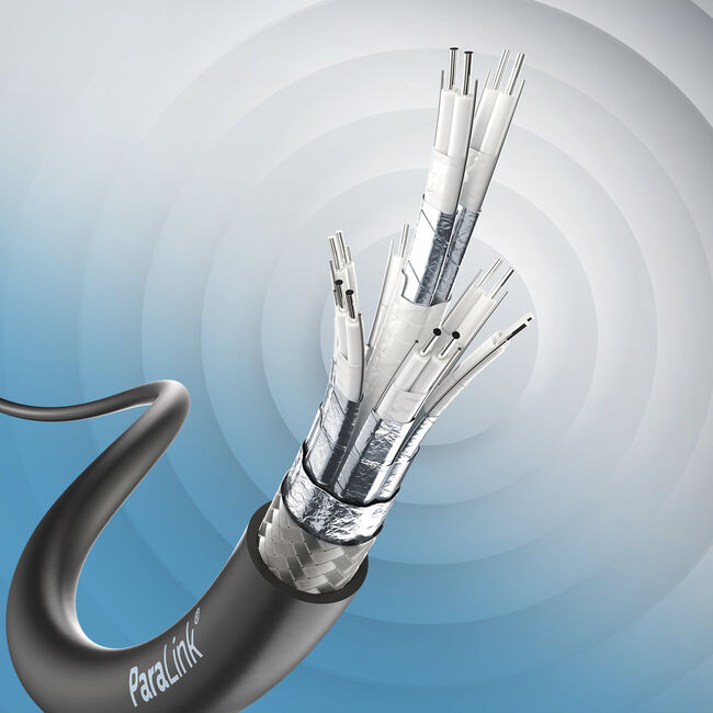 BizLink Telecom & Networking | ParaLink® twinax cables