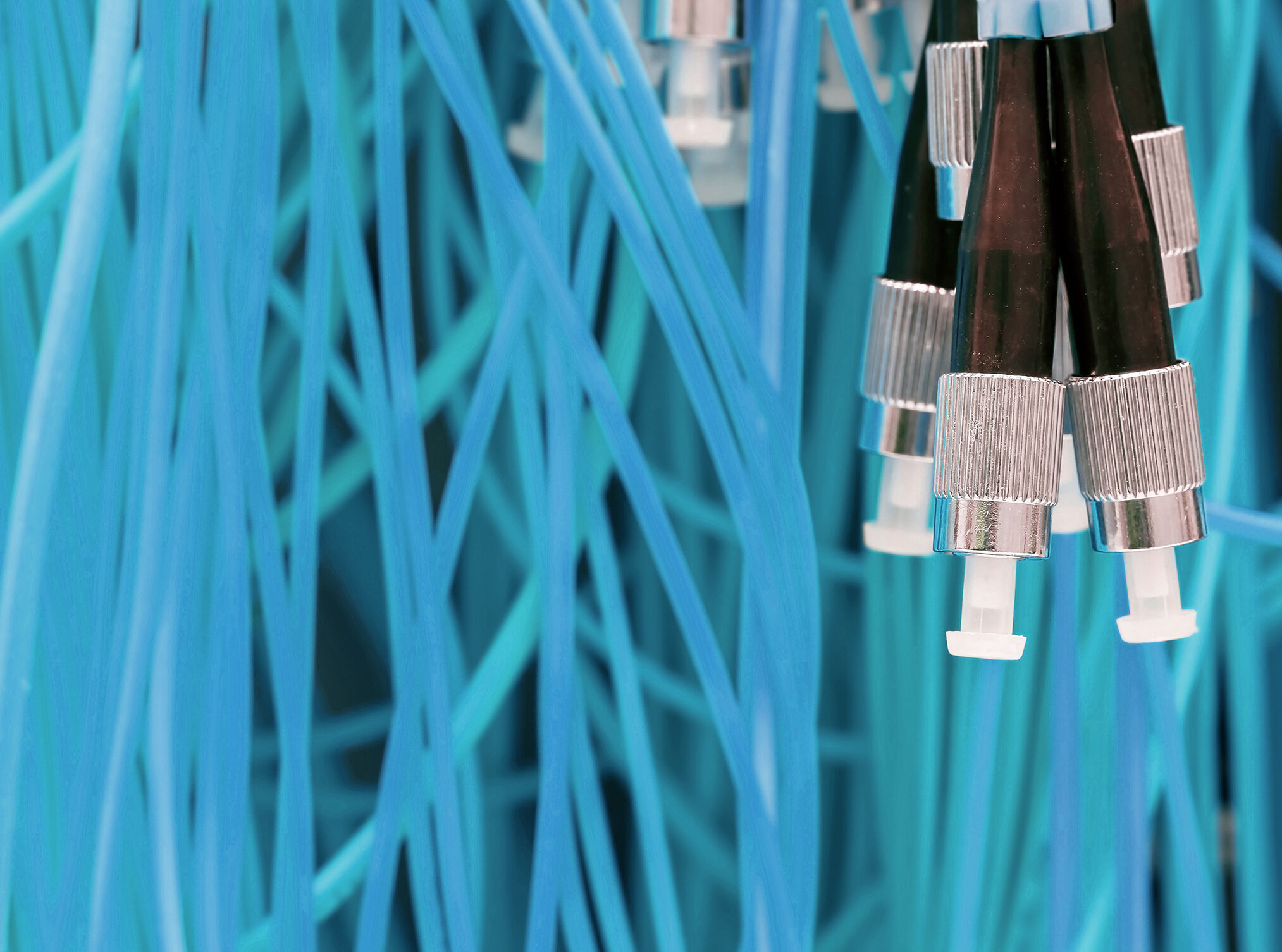 BizLink Telecom Networking Fiber Optic Cables